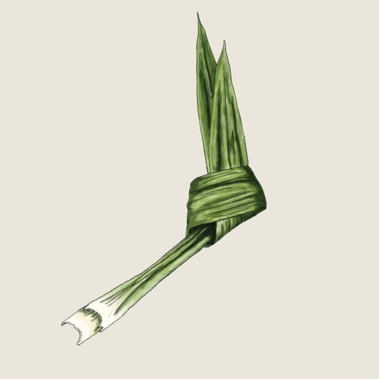 Products – Tram Phan Tram